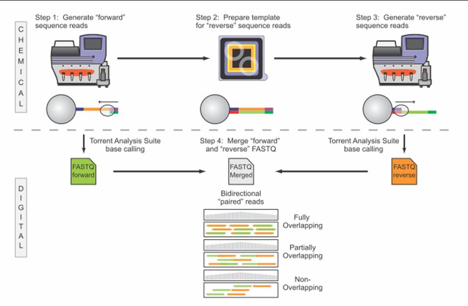 Ion torrent | biorigami | Page 2