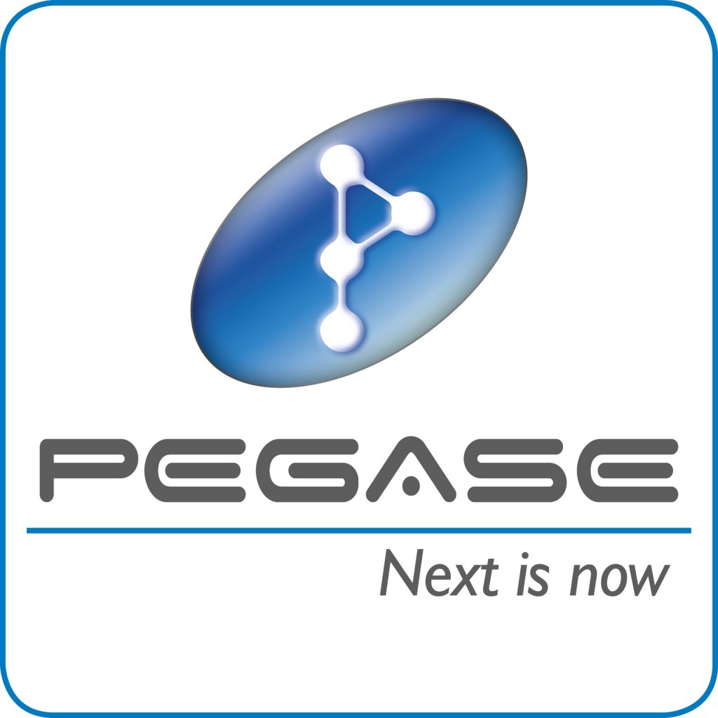 PEGASE : naissance d’un hybride | biorigami