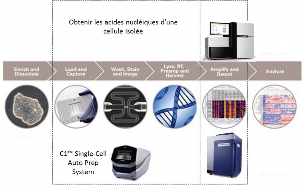 C1 single-cell auto prep system | biorigami