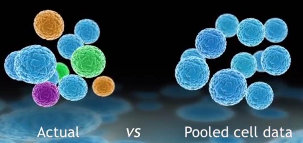 C1 single-cell auto prep system | biorigami