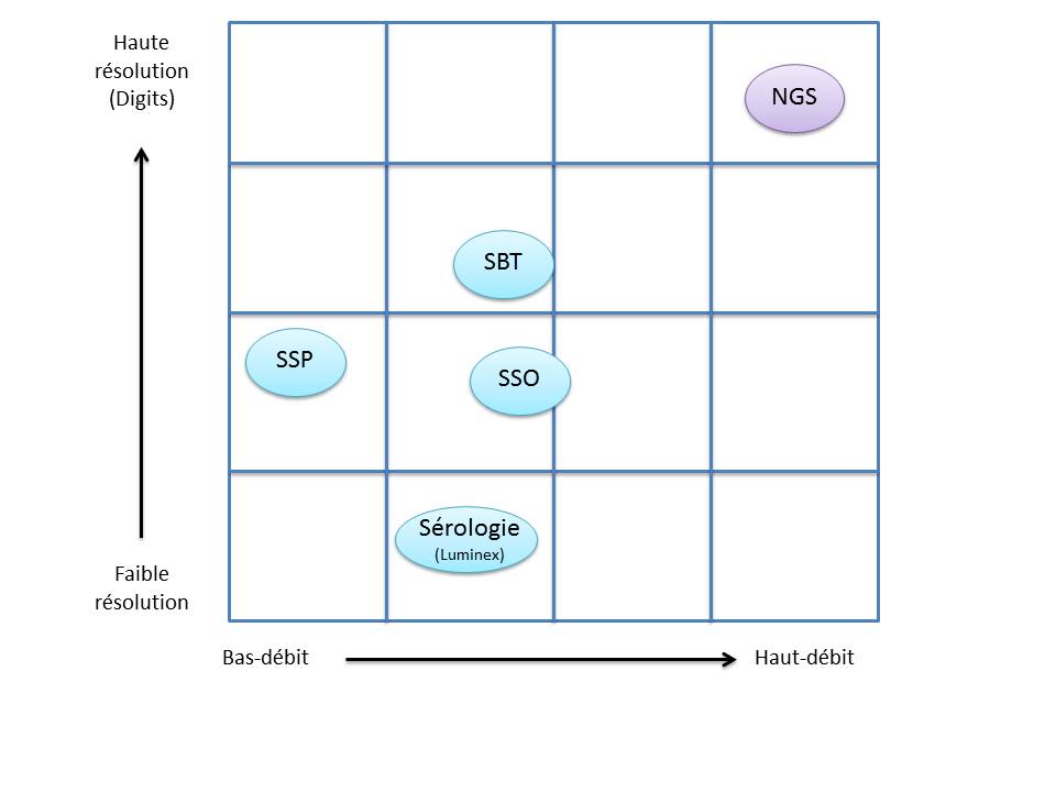 Le typage HLA à l’ère du séquençage à haut-débit | biorigami